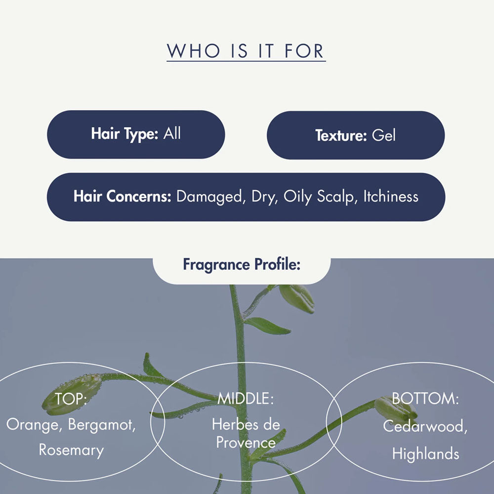 Treecell Night Collagen Shampoo Midnight Forest – bellevous-in